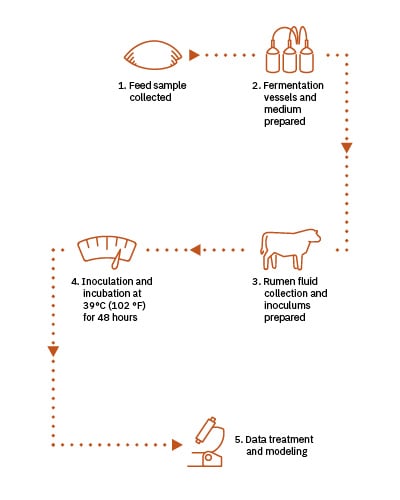 Alltech® Canada Feed Efficiency Video Series | Dairy